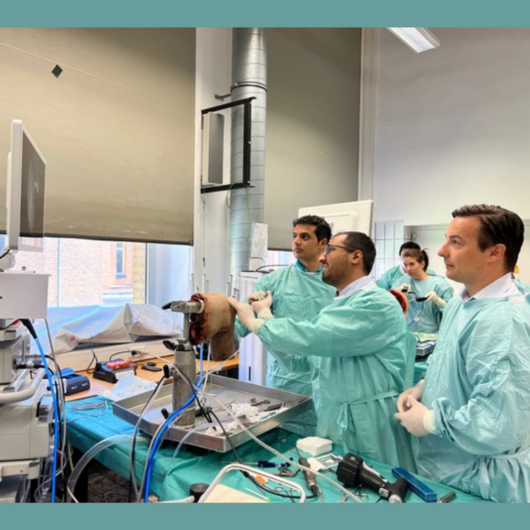 Häufig gestellte Fragen zu Knie-TEP - Internationales Zentrum für ...