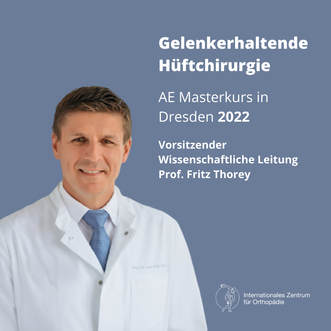 AE-Masterkurs mit Professor Thorey – Internationales Zentrum für ...