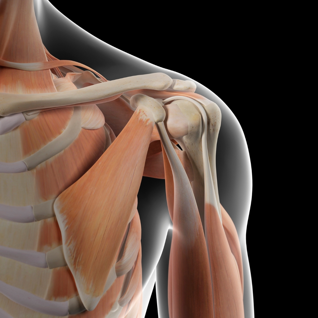 Häufig gestellte Fragen zu Schulterschmerzen und Omarthrose ...